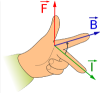 Force On A Current-carrying Conductor & Fleming's Left Hand Rule | Mini ...