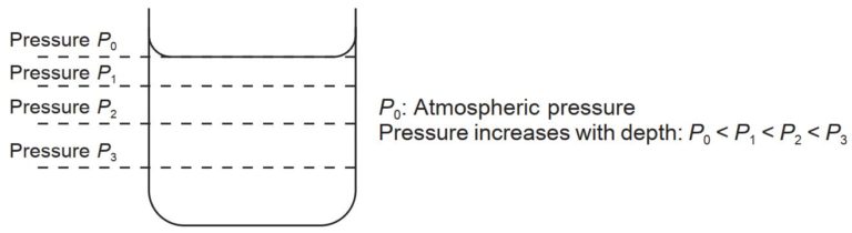Hydrostatic Pressure | Mini Physics - Free Physics Notes