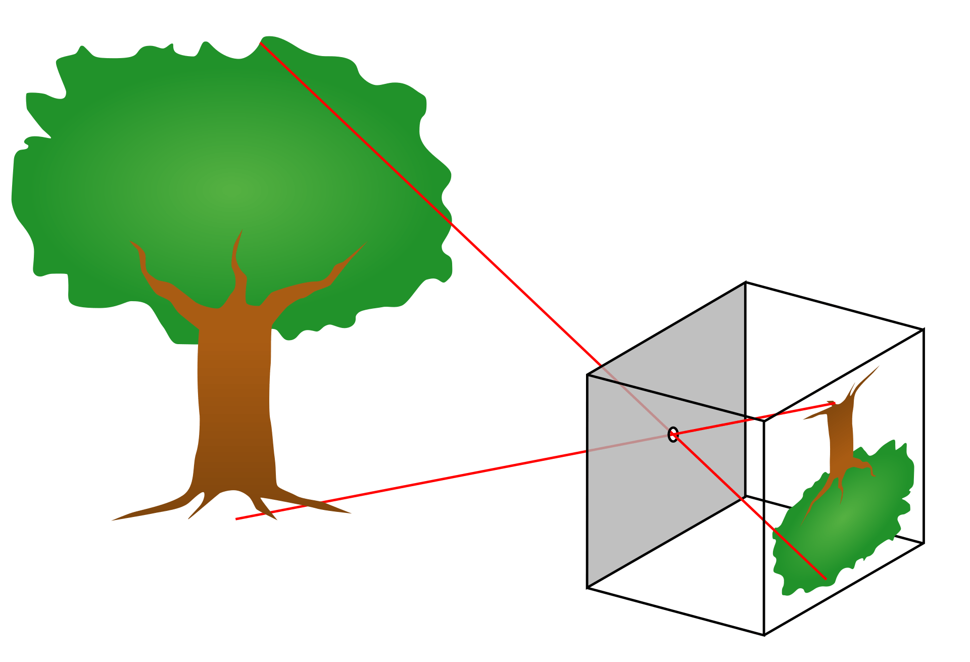 What Is Light? | Mini Physics - Free Physics Notes