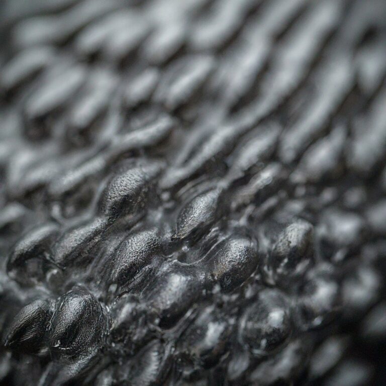 Unveiling The Mystery Of Absolute Zero: The Ultimate Cold | Mini ...